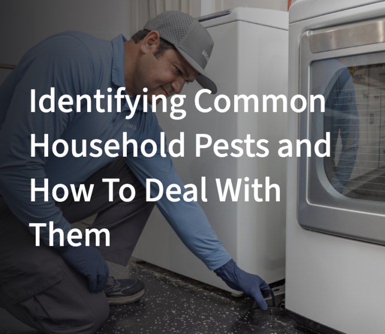 Pest Control in California, Washington and Oregon | Brooks Pest